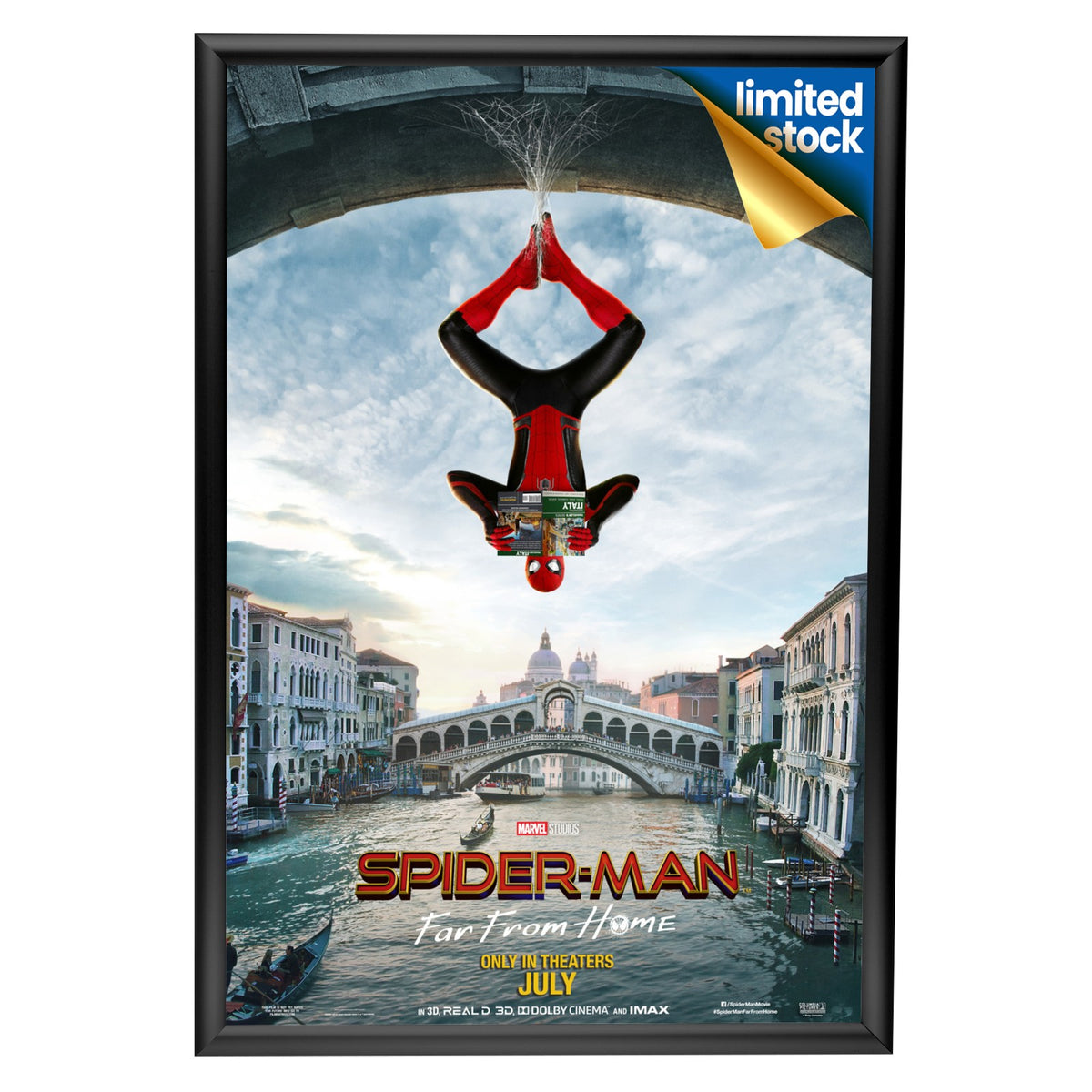 24x36 Black Snap Frame – Snap Frames Direct