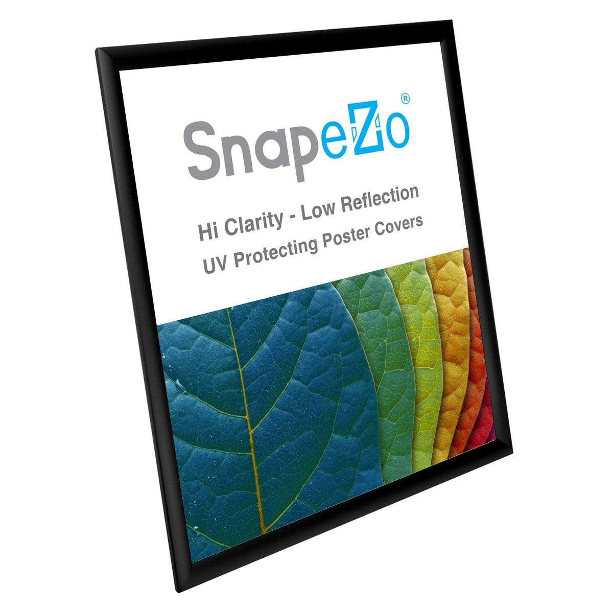 20x24 Black Snapezo® Snap Frame - 1" Profile – Snap Frames Direct