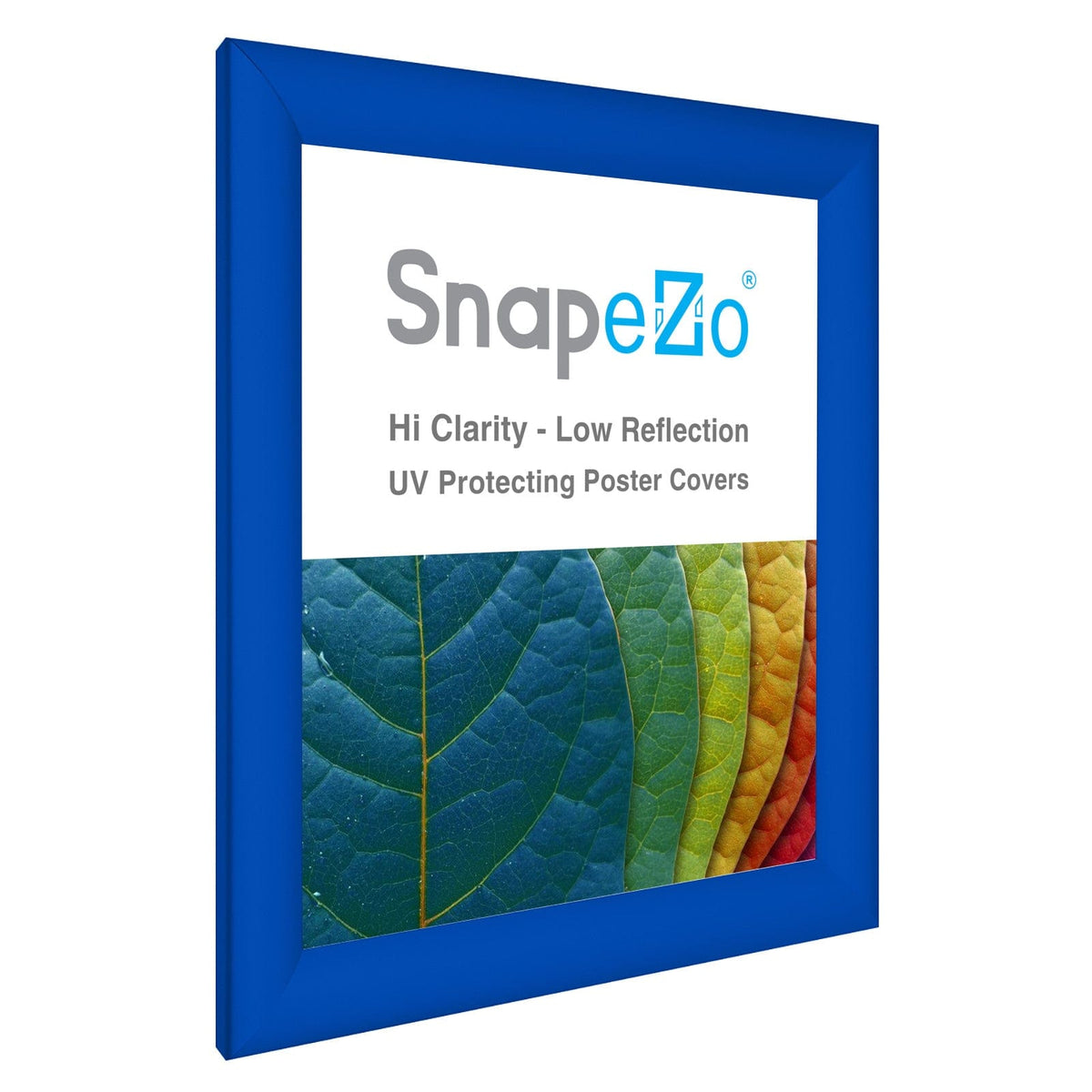 10x12 Blue Snapezo® Snap Frame - 1.2" Profile – Snap Frames Direct