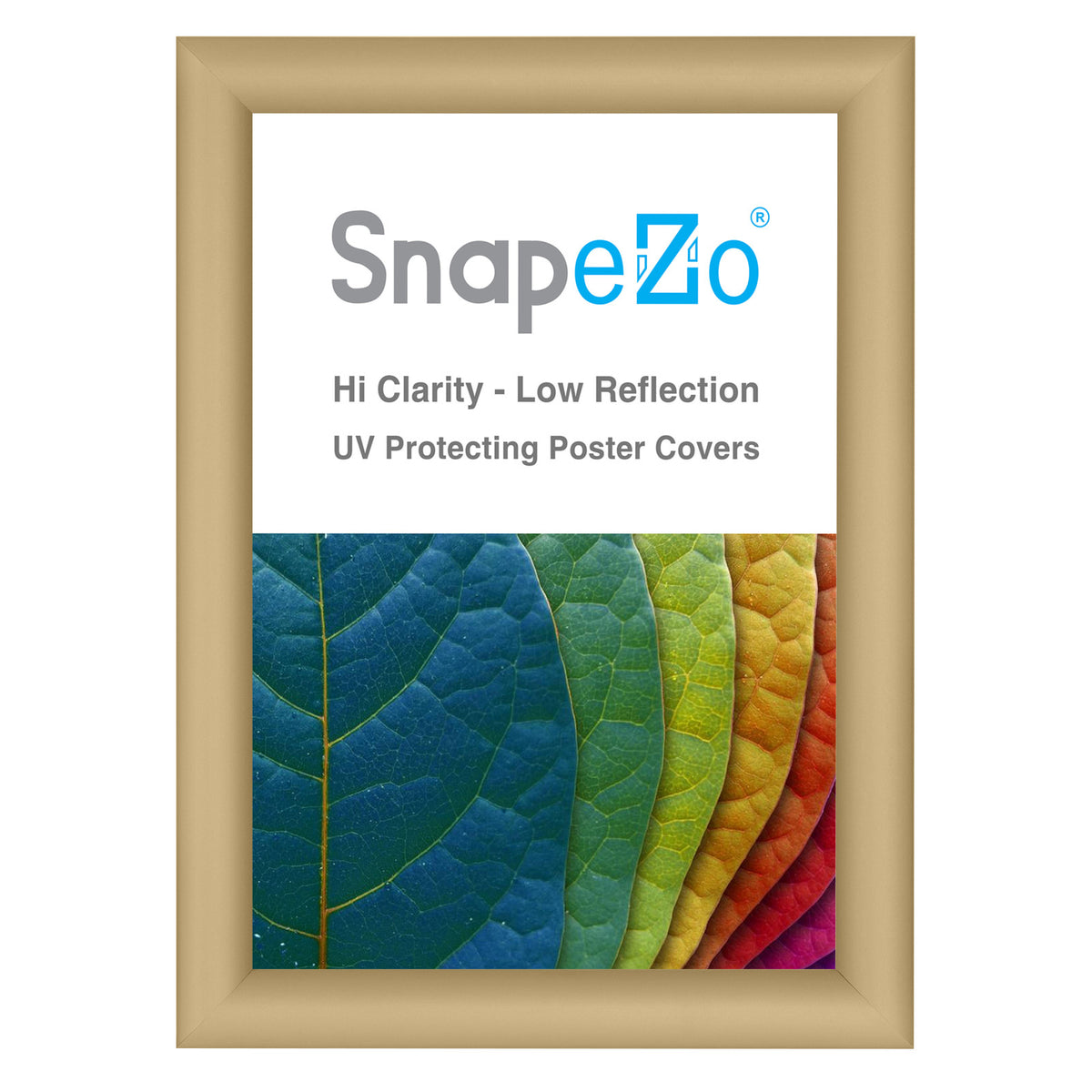 A4 Gold Snap Frame – Snap Frames Direct