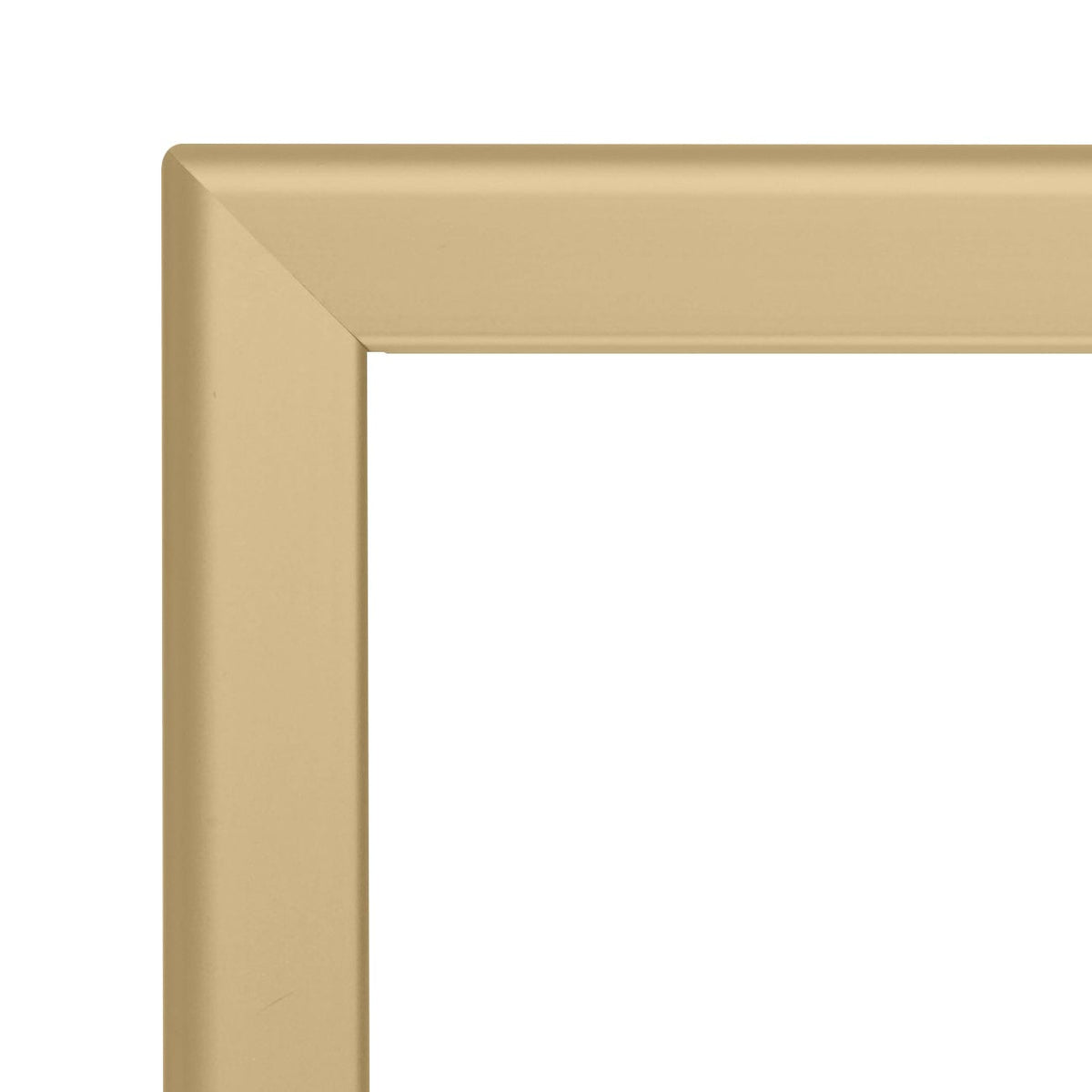 30x40 Gold Snapezo® Snap Frame - 1.25" Profile – Snap Frames Direct